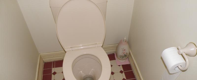 About 40 000 americans are injured by toilets each year | The Fact Base