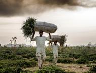 Home | The Fact Base