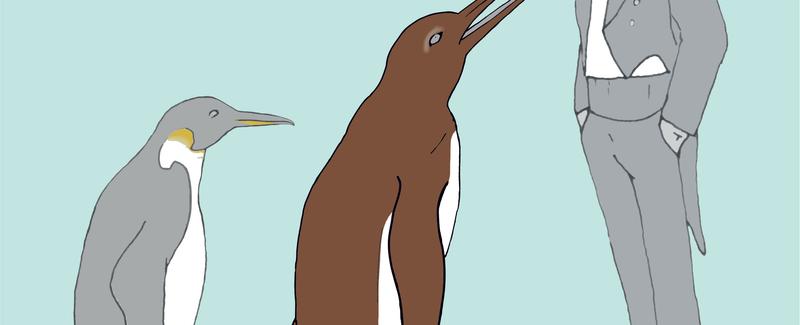 An extinct species of penguins was nearly 7 feet tall | The Fact Base