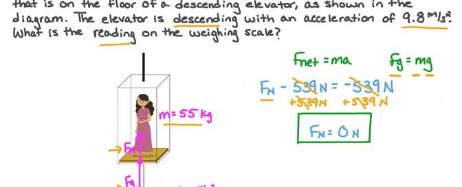 In physics weight is described as a force and can also be measured in ...