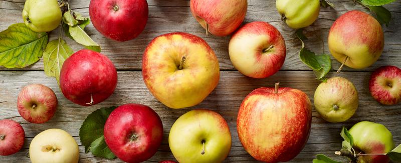 There are over 7000 different types of apples grown all over the world ...