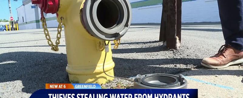 In michigan it is illegal to chain what to a fire hydrant an alligator ...