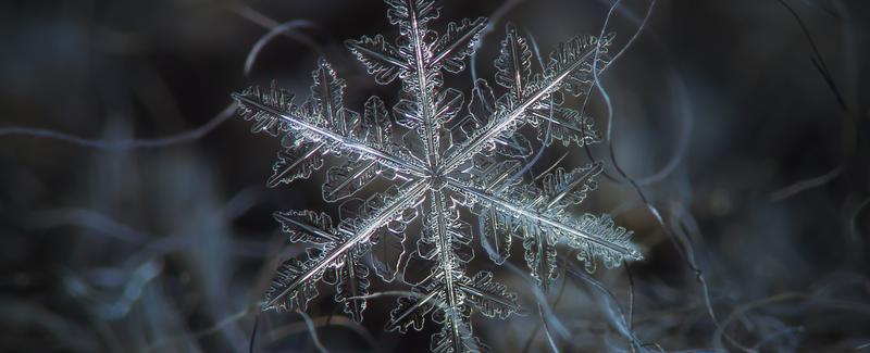 A snowflake can take up to an hour to fall from the cloud to the ...