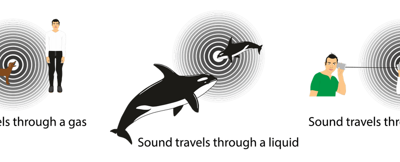 Sound travels 4 times faster in water than it does through air | The ...